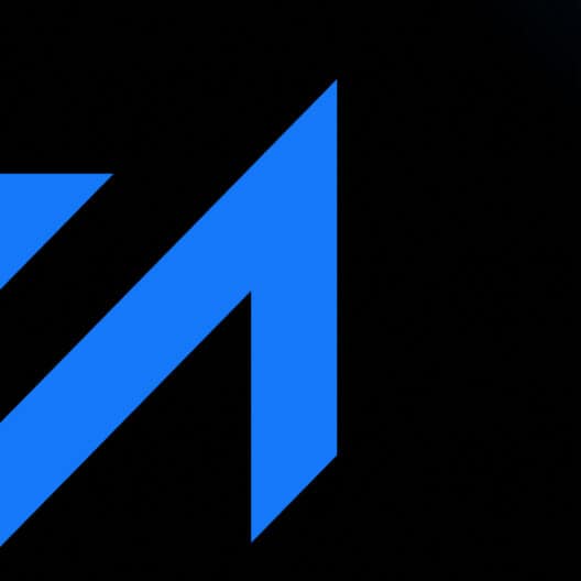 NonProfits We Support - Blue Mantis