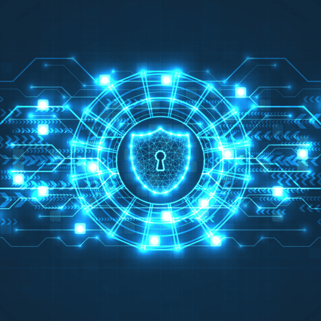 Network & Systems Security - Blue Mantis