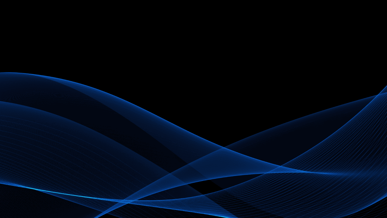 Blue Mantis Corporate Overview - Blue Mantis